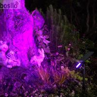 China Long-Lasting Solar Garden Lights with 6-8 Hours Charging Time and Durable ABS PC Material for sale