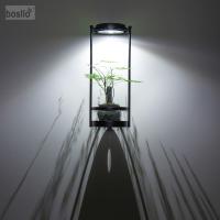 China Outdoor Wall Decoration Made Easy with Black Solar Wall Lamps Working Time 8-10 Hours for sale