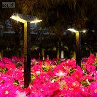 China 50 Lumens Solar Garden Lights Black and Eco-Friendly for Pathways for sale