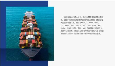 China Professional Ocean Freight Services - 150+ Global Ports, 20ft-40ft Containers, 15-45 Day Transit for sale