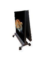 China p3.91-3.91 structure free holographic transparent LED display with high brightness for window show for sale