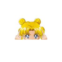 China Sailor Moon Anime Car Stickers Die Cut 3D Motion Lenticular Sticker For Lap Top for sale