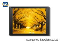 China SGS 3D Lenticular Printing Black And White Landscape Pictures For Home Decorative Wall Art Framed for sale