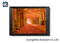 China Beautiful Nature Scenery 3D Lenticular Images Stereograph Printing 30*40cm Size for sale