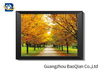 China SGS 3D Lenticular Printing Black And White Landscape Pictures For Home Decorative Wall Art Framed for sale