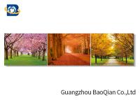 China Beautiful Nature Scenery 3D Lenticular Images Stereograph Printing 30*40cm Size for sale