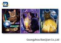 China 3d Effect Lenticular Image / Poster With White Mdp Frame , Free Sample Cat Animal Picture for sale