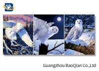 China 3D Wallpaper Lenticular Flip Animal Bird / Horse Picture 4 Colour 3D UV Printing for sale