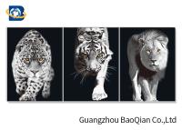China 3D Change Flipped Lenticular Image Printing , 3D Effect Poster Wall Art Photo for sale