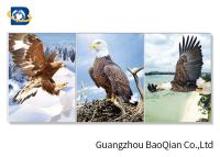 China Wall Hanging Decorative Beautiful Flying Eagle 3d Flip Moving Home / Hotel Wall Decoration for sale