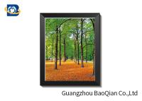 China Fashionable 3D Effect 5D Lenticular Printing Picture For Home Decoration for sale