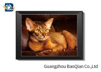 China Cute Cat Lenticular Printing Picture With Frame 40 x 40 cm PET 0.65 mm for sale