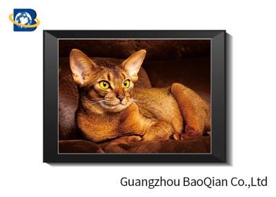 China Cute Cat Lenticular Printing Picture With Frame 40 x 40 cm PET 0.65 mm for sale