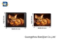 China Cute Cat Lenticular Printing Picture With Frame 40 x 40 cm PET 0.65 mm for sale