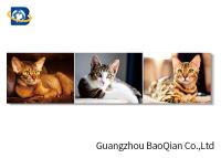 China Big Size Flip Lenticular Print Poster For Advertising Of Hamburger And Pizza for sale