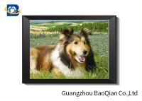 China 3D Lenticular Printing Products , 3D Lenticular Printing Pictures For Wholesale for sale