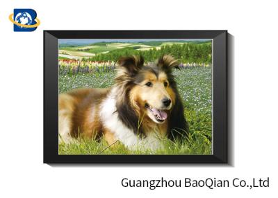 China 3D Lenticular Printing Products , 3D Lenticular Printing Pictures For Wholesale for sale