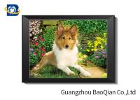 China 3D Lenticular Printing Products , 3D Lenticular Printing Pictures For Wholesale for sale