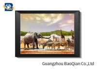 China Flip Effect Lenticular Image 40 x 40 cm , 3D Lenticular Printing Pictures Elephant Theme for sale