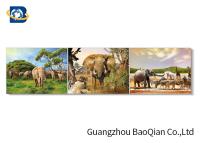 China Flip Effect Lenticular Image 40 x 40 cm , 3D Lenticular Printing Pictures Elephant Theme for sale