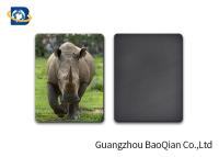 China UV Offset Printing Lenticular 3D Personalised Fridge Magnets Nontoxic Material for sale