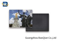China Animal 3D Pictures Funny Refrigerator Door Magnets Light Weight No Harm Material for sale