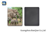 China Custom Animal 3D Fridge Lenticular Magnet PET Material Thickness 0.6mm SGS Approval for sale