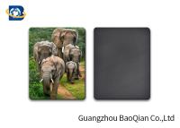 China Custom Animal 3D Fridge Lenticular Magnet PET Material Thickness 0.6mm SGS Approval for sale