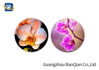 China Home Decoration 3D Lenticular Coasters Cup Placemat Beautiful Flower Pattern for sale