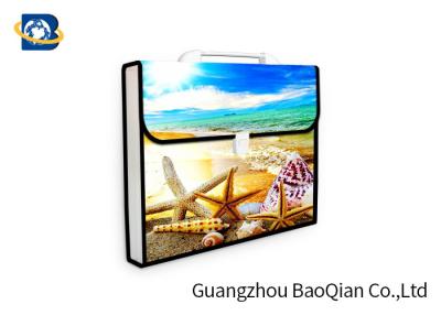 China 3D Lenticular Picture Expanding File Folders , Presentation Folder Printing for sale