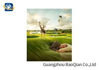 China PP/PET Large Format Lenticular Printing , 3 Dimensional Pictures Creative Design for sale