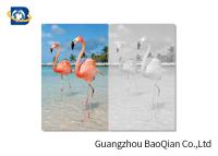 China Personalized 3d Lenticular Greeting Cards High Definition No 3D Glass Needed for sale