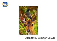 China Animal Lenticular Greeting Cards , Deer 3D Greeting Cards For Christmas / New Year for sale