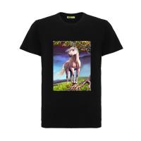 China 3D Lenticular PET Picture With Soft TPU For T-Shirt Or Custom Design for sale