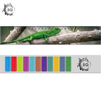 China High Definition Motion 3D Lenticular Ruler Animal Design For Students for sale