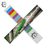 China High Definition Motion 3D Lenticular Ruler Animal Design For Students for sale