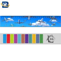 China 3d Or Flip Change Custom Printed Plastic Rulers For Kid Stationery for sale
