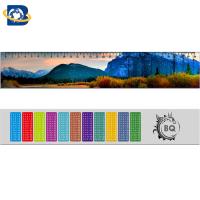 China 3d Or Flip Change Custom Printed Plastic Rulers For Kid Stationery for sale