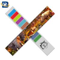 China Fantastic 3D Lenticular Printing Ruler 0.9mm PET+157g Paper Material for sale