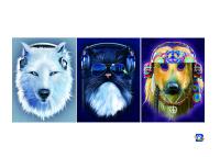 China PET / PP Animal Print Lenticular Posters For Home Decoration SGS for sale