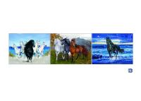 China PET / PP Animal Print Lenticular Posters For Home Decoration SGS for sale