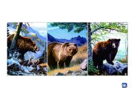 China PET / PP Animal Print Lenticular Posters For Home Decoration SGS for sale