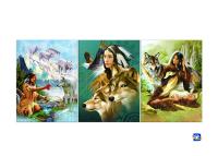 China Film Lamination Lenticular Flip , 3D Triple Transition Lenticular Poster 12x17 Inches for sale
