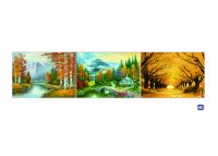 China 3D 30x40cm Triple Transition Flower Wall Poster 3 Images For Restaurant for sale