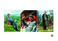 China 0.6mm PET Material 30x40cm 3D Lenticular Flip / Lenticular Image Printing for sale