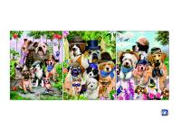 China Wall Art 3D Lenticular Picture Flip Cute Cats And Dolphins With 12X17 Inches for sale