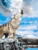 China BSCI Lenticular 3D Pictures For Hotel Decoration / 3D Animals Photos for sale