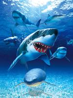 China BSCI Lenticular 3D Pictures For Hotel Decoration / 3D Animals Photos for sale