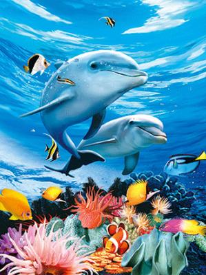 China BSCI Lenticular 3D Pictures For Hotel Decoration / 3D Animals Photos for sale