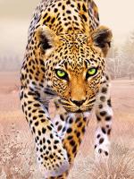 China Home Decoration 3D Lenticular Pictures / Animal Print Lenticular for sale